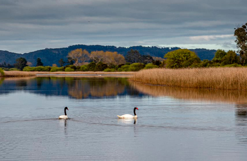 El rescate y protección de los humedales | SIMIPLANETA